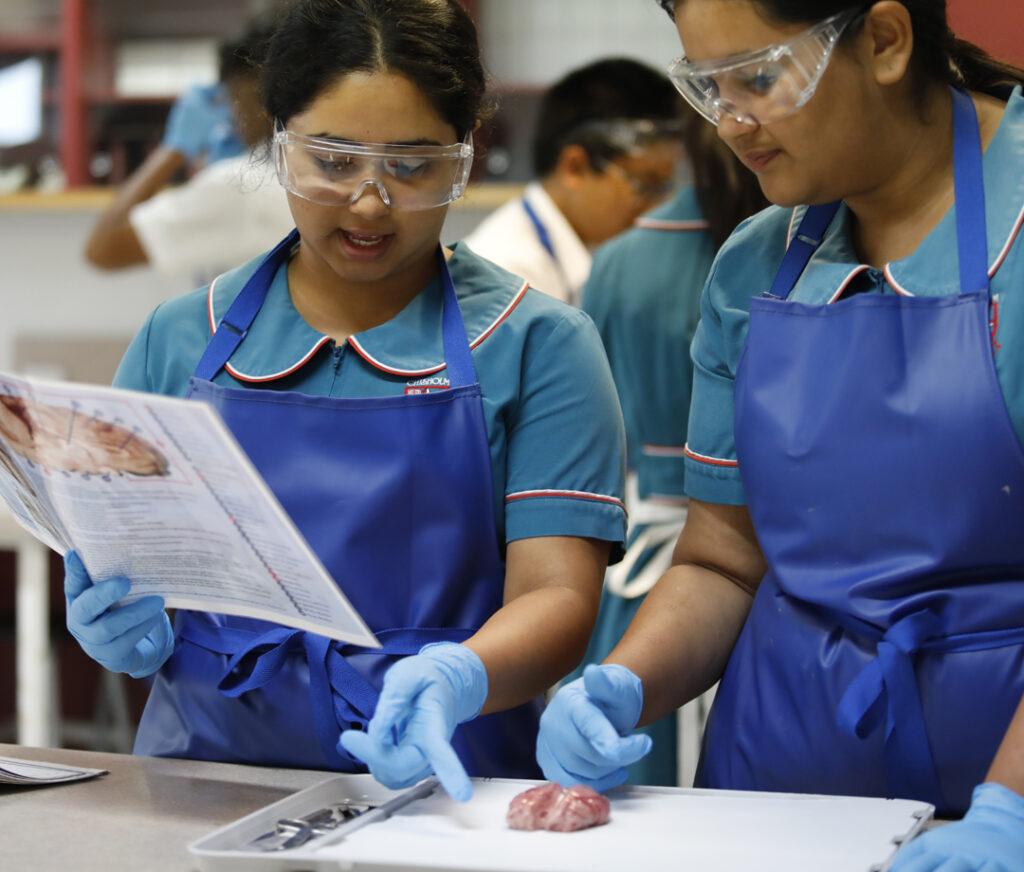 Academic – Chisholm Catholic College